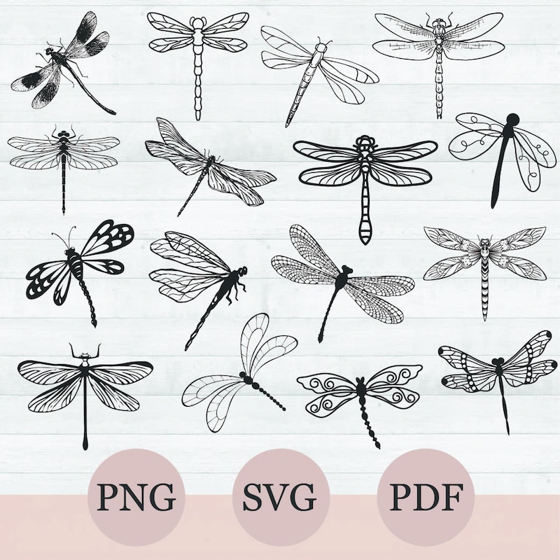 Dragon Fly Insect Svg - Etsy