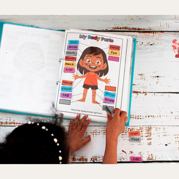 Human Anatomy Printable - Etsy