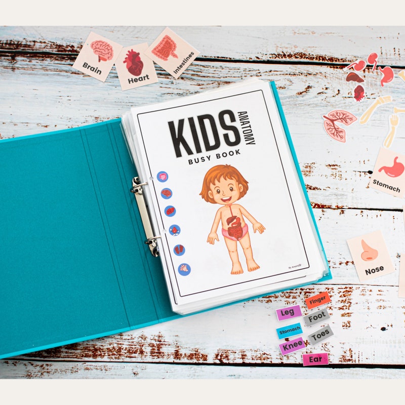 Human Anatomy Printable - Etsy