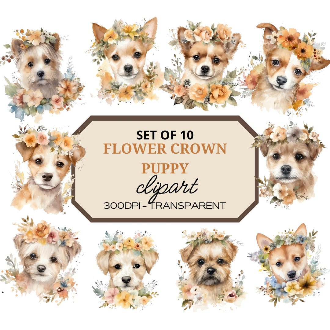 Flower Crown Puppy Clipart⎥watercolor Clipart Bundle⎥floral Png⎥digital ...