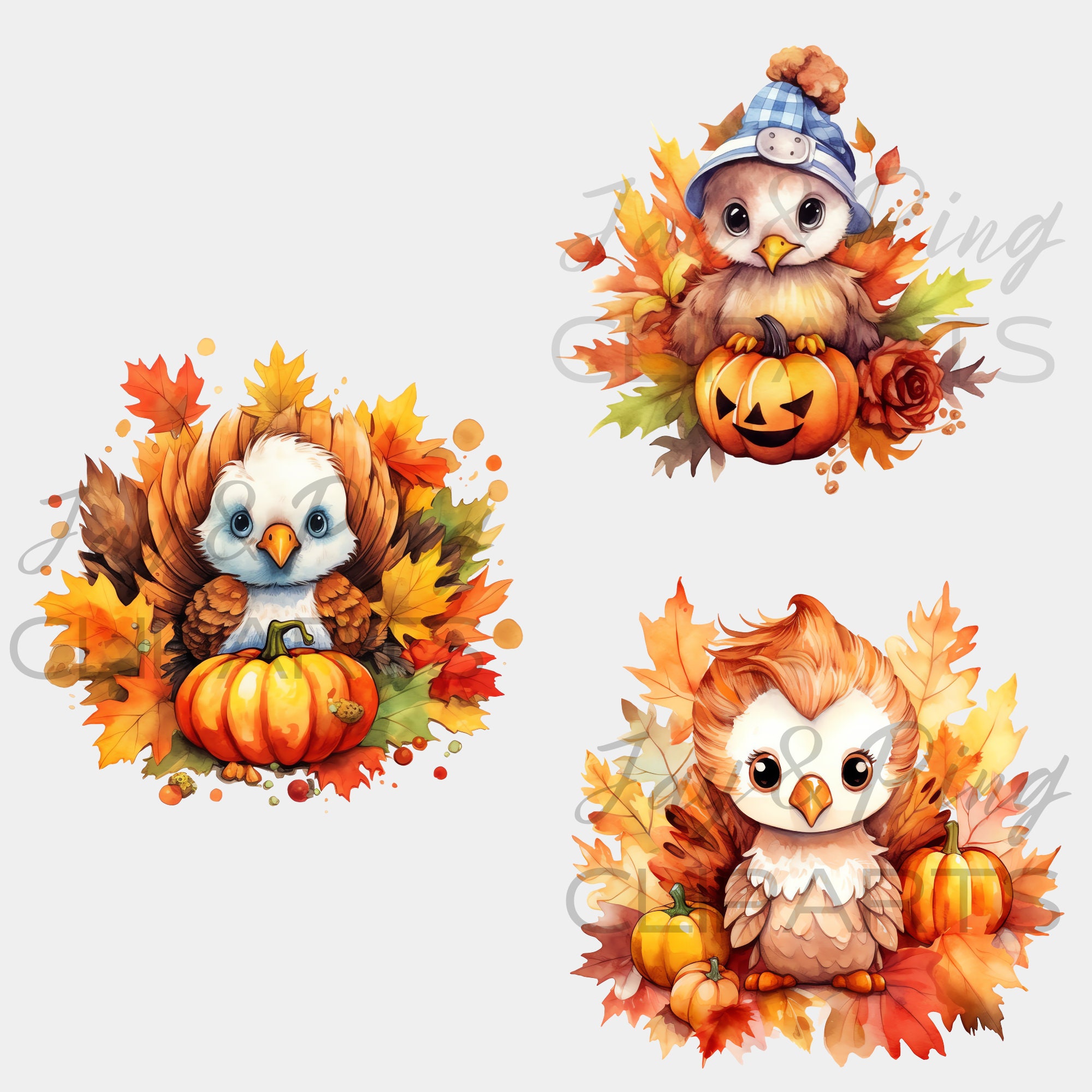 Watercolor Cute Turkey Png⎥thanksgiving Clipart⎥digital Stickers Fall ...