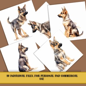 German Shepherd Puppy Clipart⎥watercolor Clipart Bundle⎥digital ...