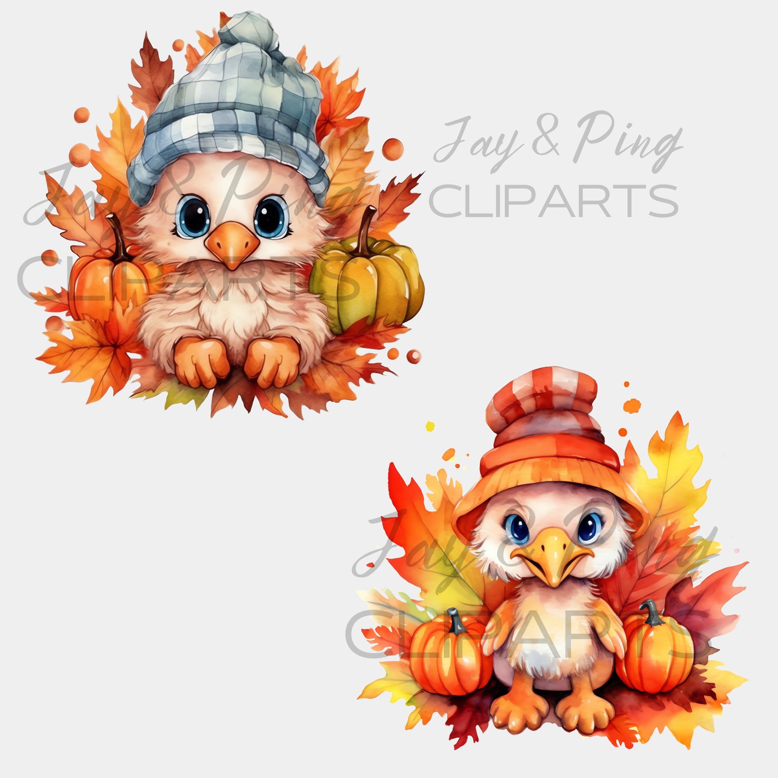 Watercolor Cute Turkey Png⎥thanksgiving Clipart⎥digital Stickers Fall ...