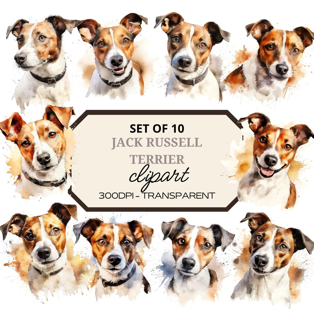 Jack Russell Terrier Clipart⎥dog Images Png⎥watercolor Clip Art Bundle ...