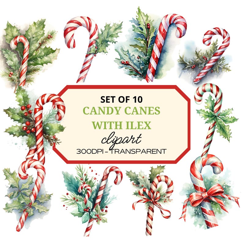 Watercolor Christmas Clipart Png⎥clipart Candy Cane Ilex⎥digital ...