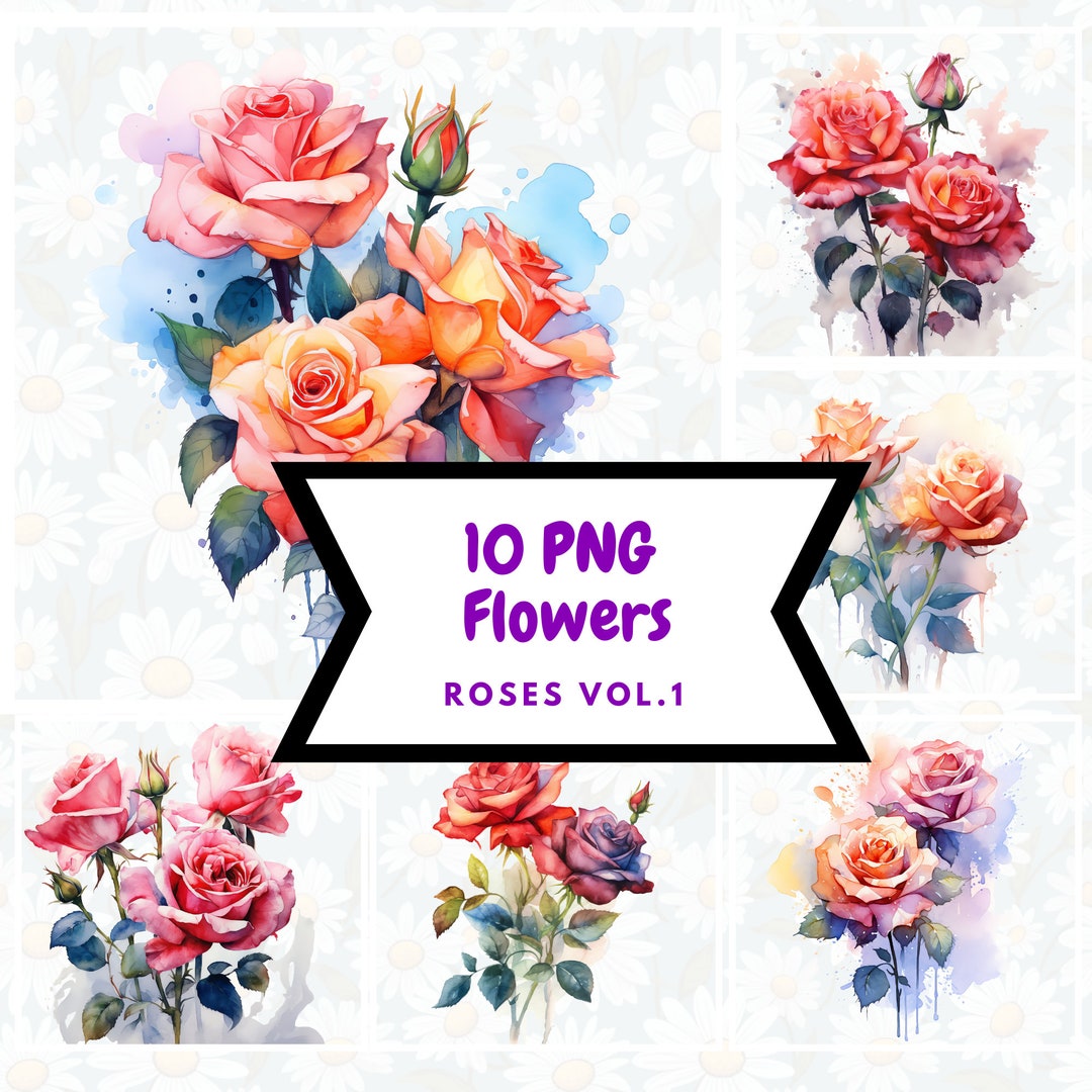 Watercolor Roses Vol.1 Clipart⎥watercolor Flower Clipart⎥rose Png ...