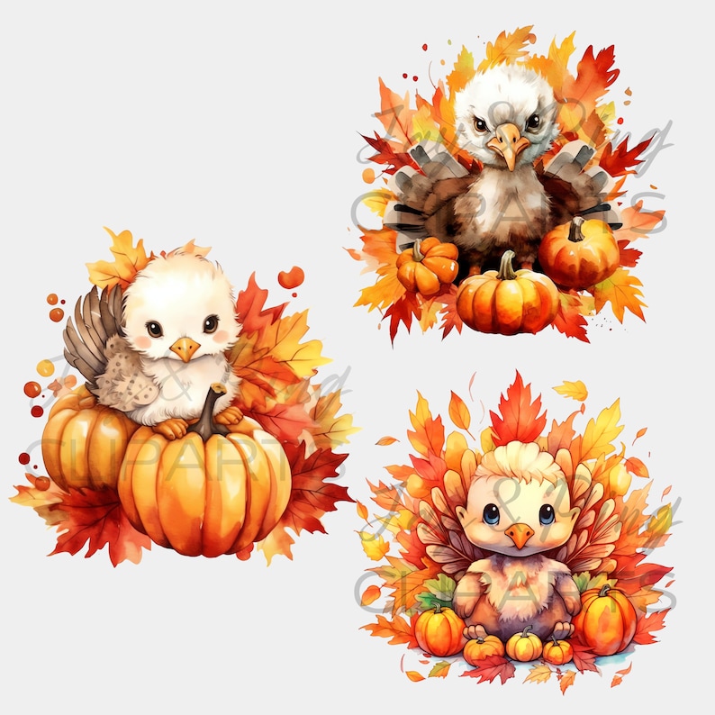 Watercolor Cute Turkey Png⎥thanksgiving Clipart⎥digital Stickers Fall ...