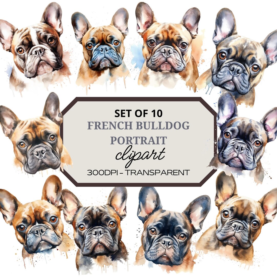 Watercolor French Bulldog Clipart⎥cute Bulldog Clip Art⎥cute Frenchie ...
