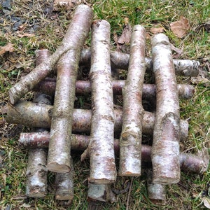 Rustic Birch Wood Sticks Bundle, Crafting Supplies, Natural Branches ...