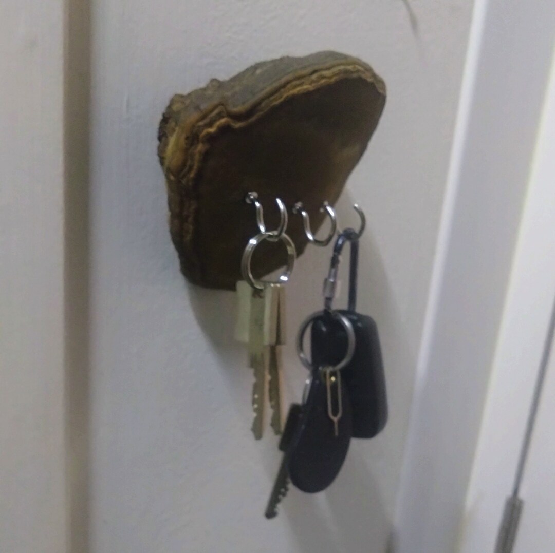 Mushroom Key Holder, Rustic Hoof Fungi Key Hook, Natural Mushroom Wall ...