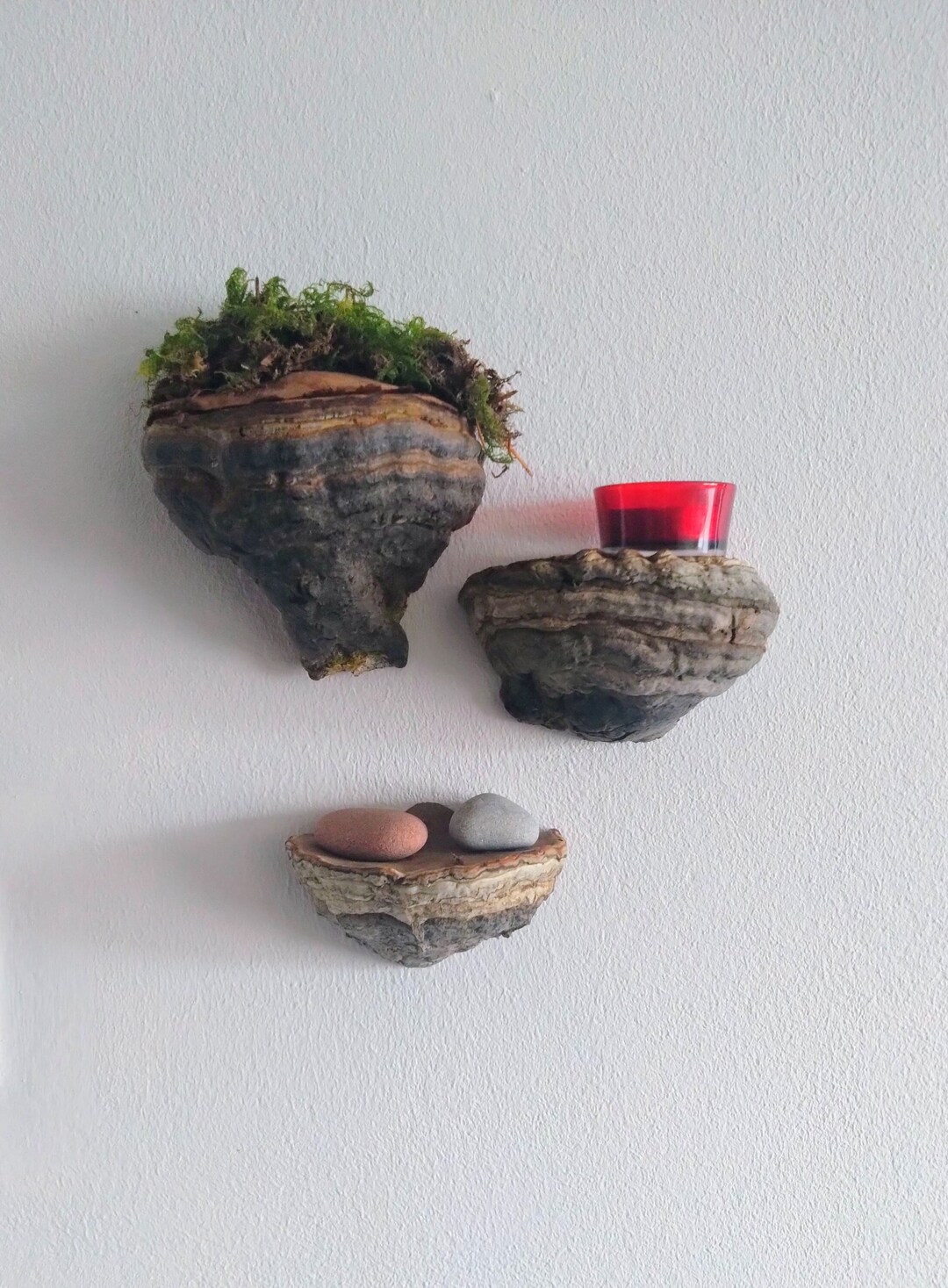 Rustic Mushroom Wall Shelf, Cottagecore Decor, Natural Forest Floating ...