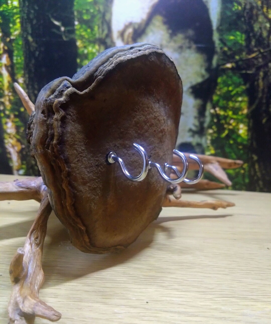 Mushroom Key Holder, Rustic Hoof Fungi Key Hook, Natural Mushroom Wall ...