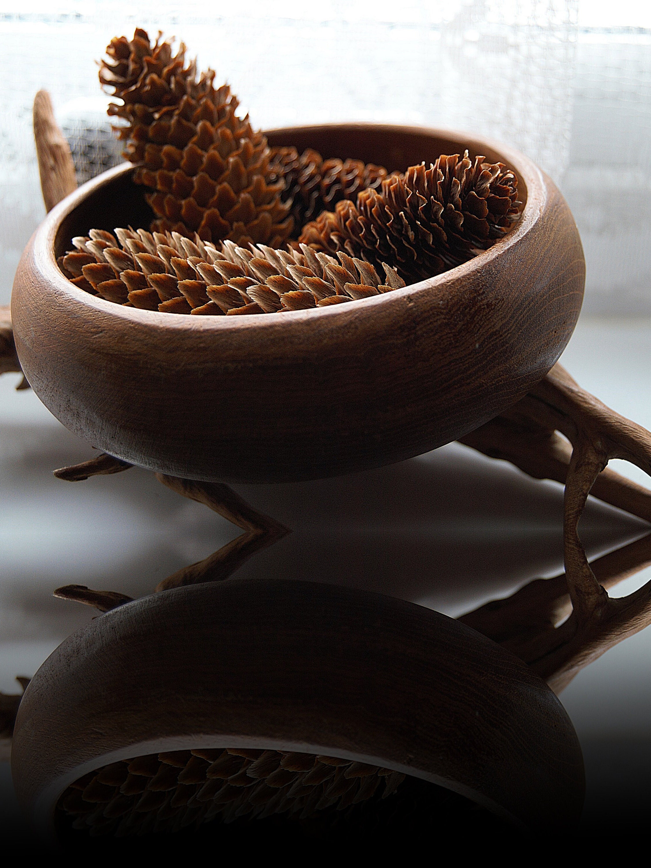 Spruce Cones Supplies for Cottage Core Artists, Fresh Pine Cones From ...