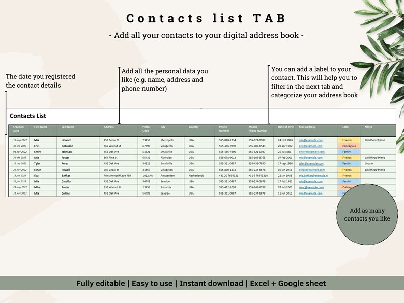 Digital Contacts List: Birthday Tracker, Excel & Google Sheets - Etsy