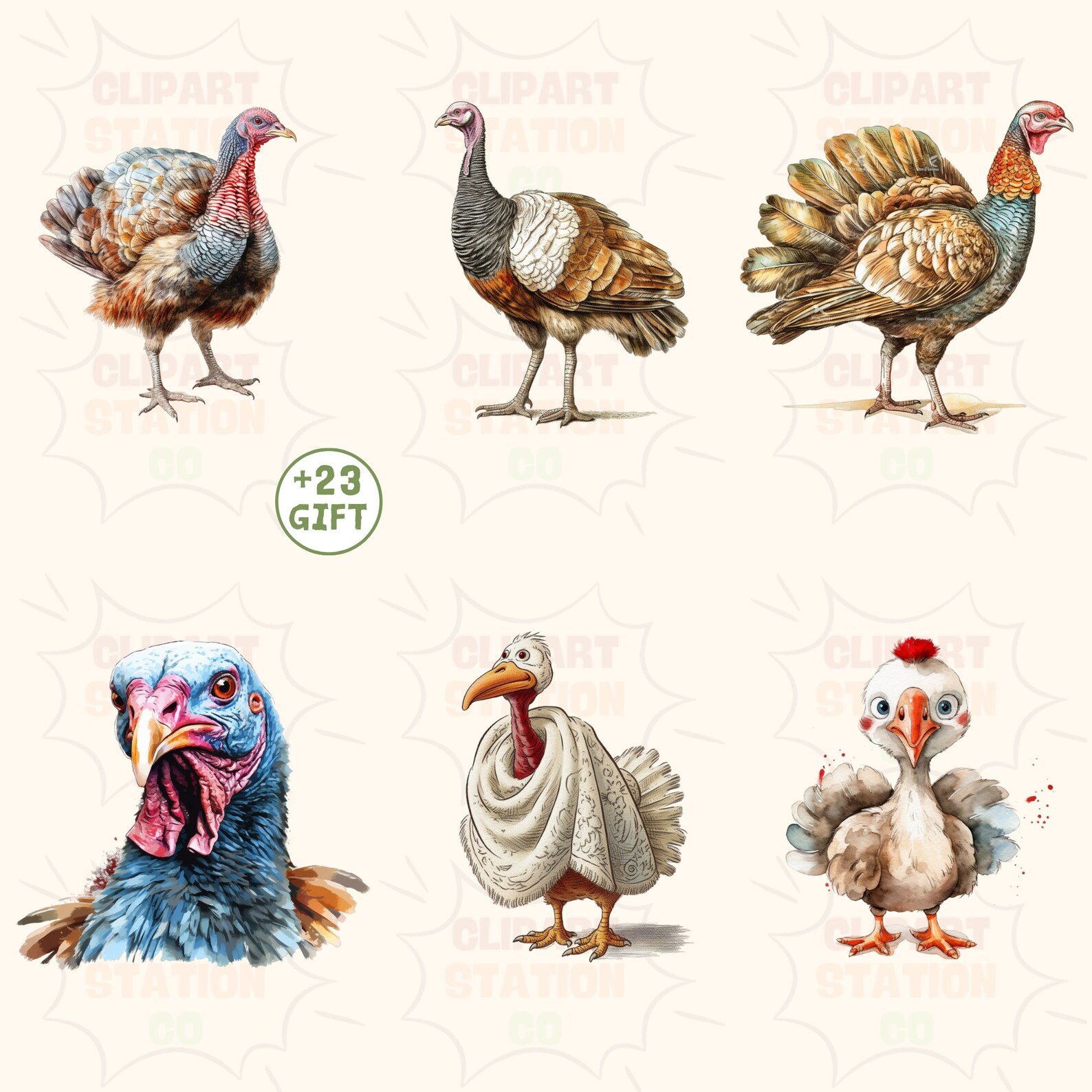 Turkey Clipart, Turkey Digital Clipart, Watercolor Clipart, Watercolor ...