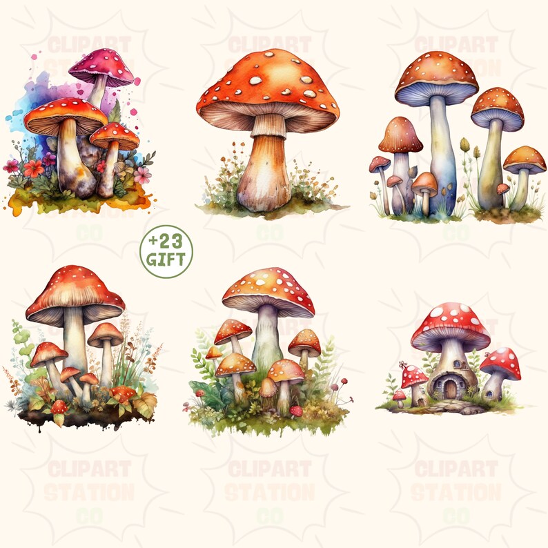 Mushrooms Floral Watercolor Clipart, Mushroom Watercolor Clipart ...