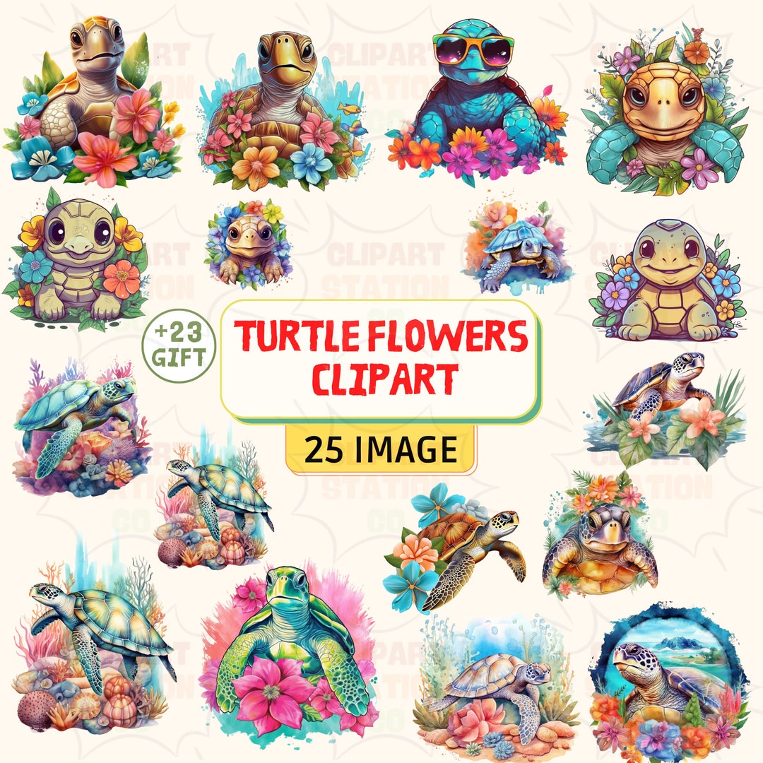 Watercolor Sea Turtle Clipart Cute Nautical Ocean Animals - Etsy