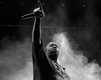 Run the Jewels El-p Madison Square Garden August 12, 2022 Concert Photo ...