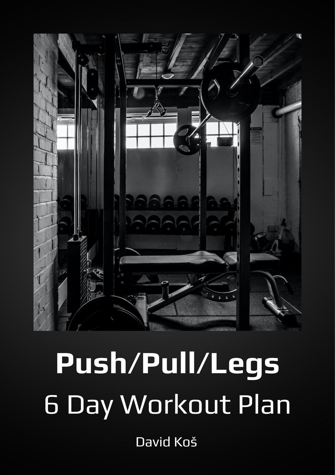 PPL Workout Plan - Etsy