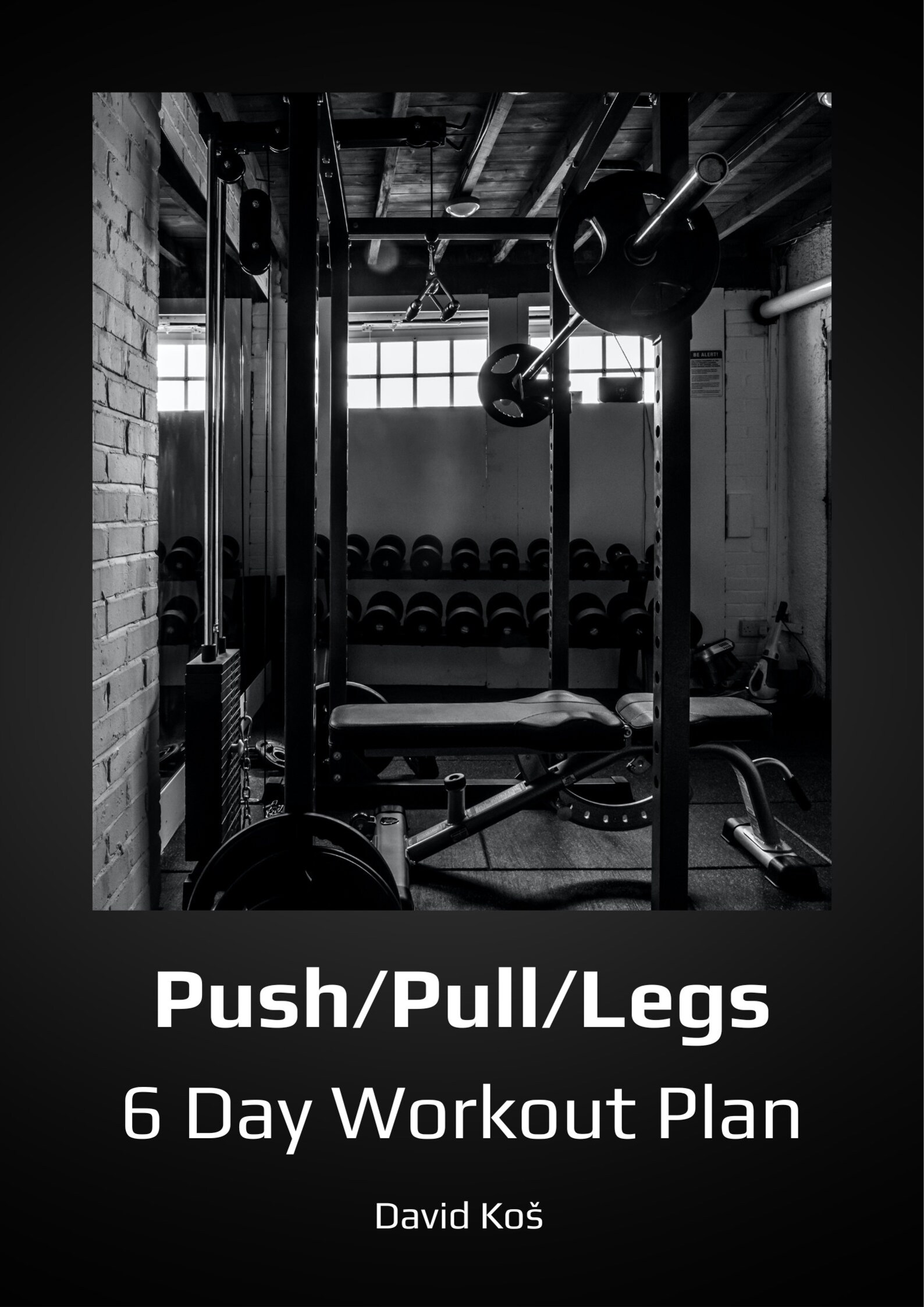 PPL Workout Plan - Etsy