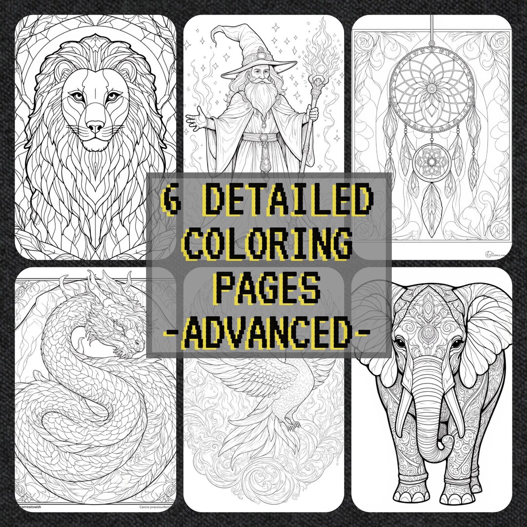 6 Highly Detailed Coloring Pages | Advanced Level | Unique Themes by ...