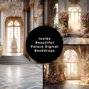 Beautiful Palace Hall Digital Backdrops, Luxury Castle Arch Background ...