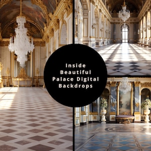 Inside Beautiful Palace Digital Backdrops Luxury Castle Background ...