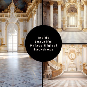Beautiful Palace Hall Digital Backdrops, Luxury Castle Arch Background ...