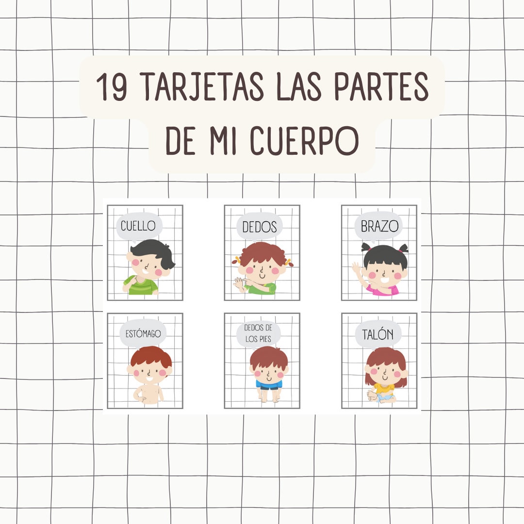19 Educational Cards the Parts of My Body. Printable Cards. Didactic ...