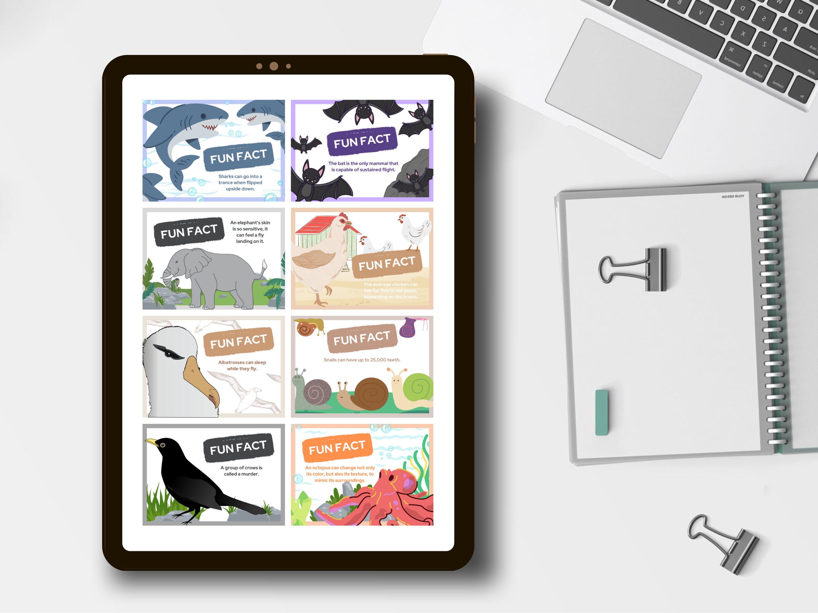 Animal Fact Cards for Children Education Cards for Learning Facts for ...