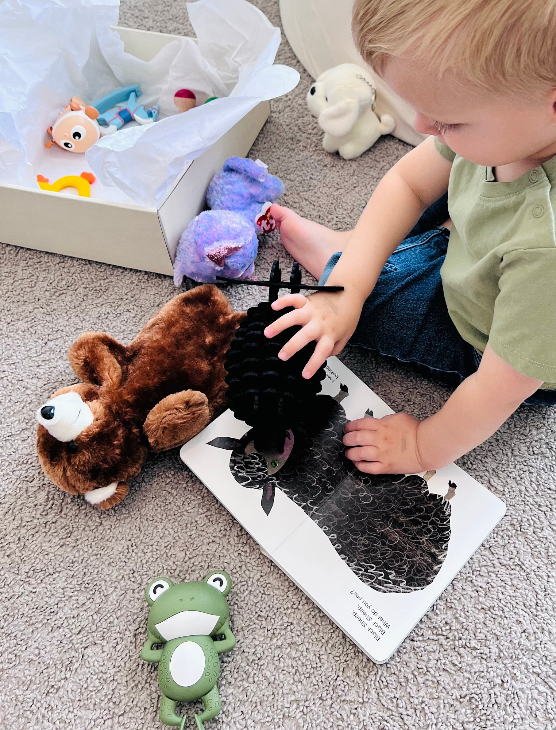 Brown Bear, Brown Bear, What Do You See? Book Box With Accessories - Etsy