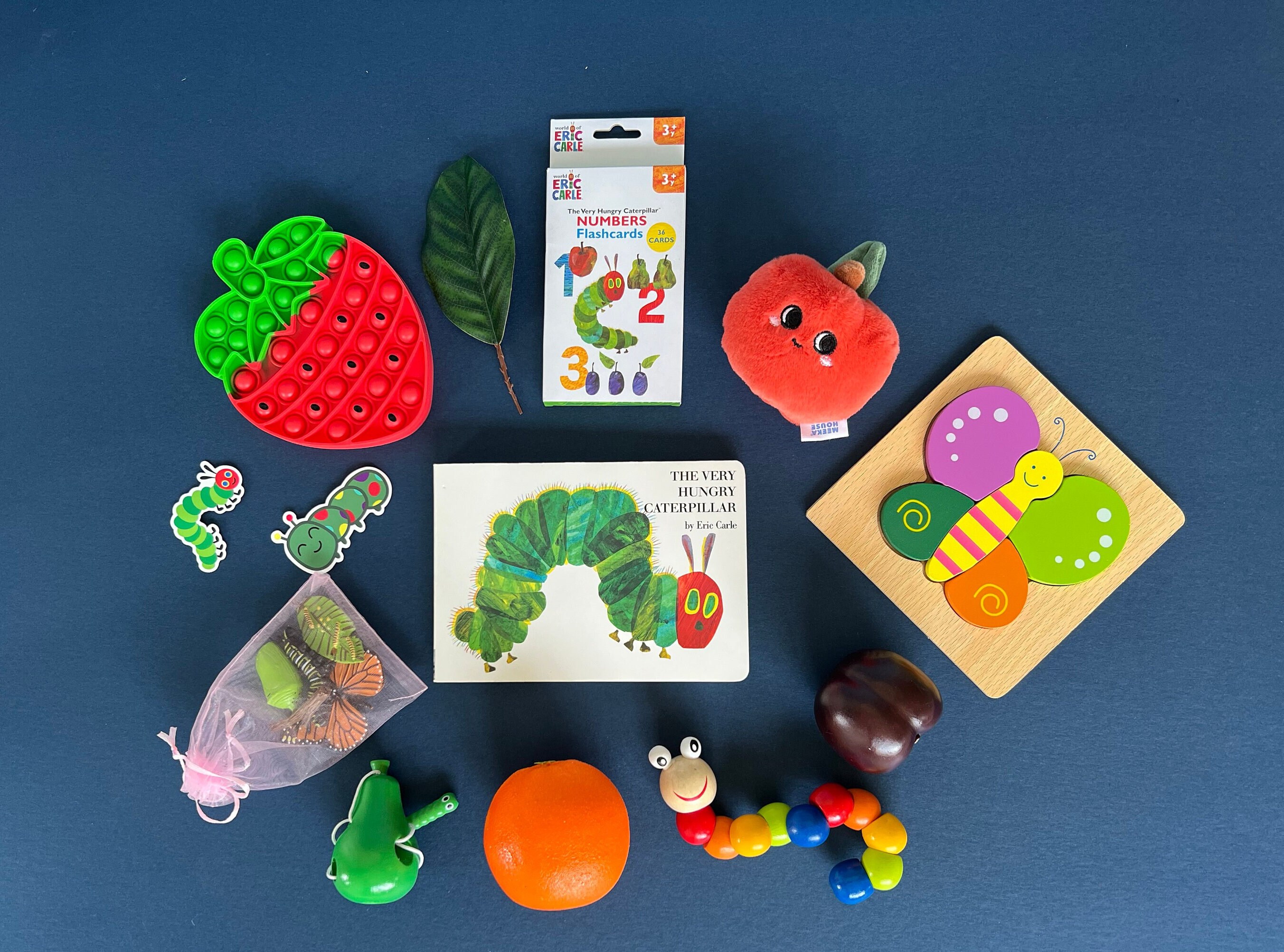 The Very Hungry Caterpillar Book Box With Accessories - Etsy