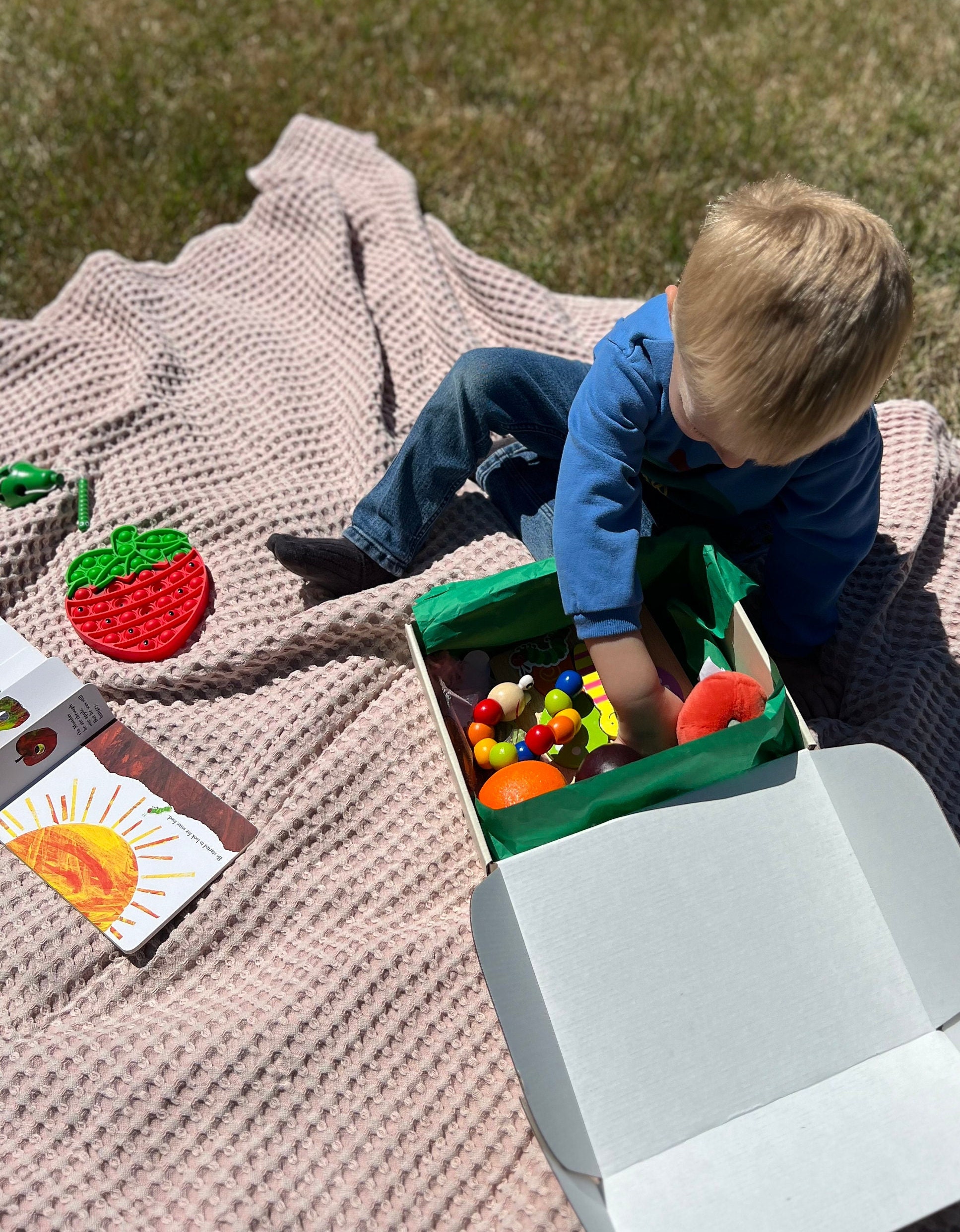 The Very Hungry Caterpillar Book Box With Accessories - Etsy
