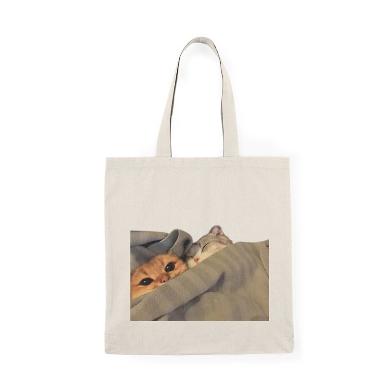 Sleeping Couple Cat Meme Tote Bag - Etsy