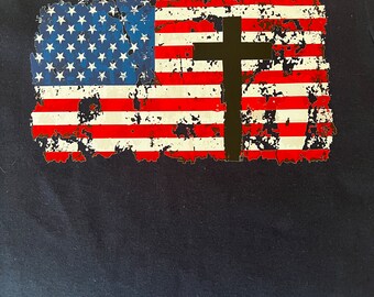 Its a Damn Shame American Flag Tee Shirt - Etsy