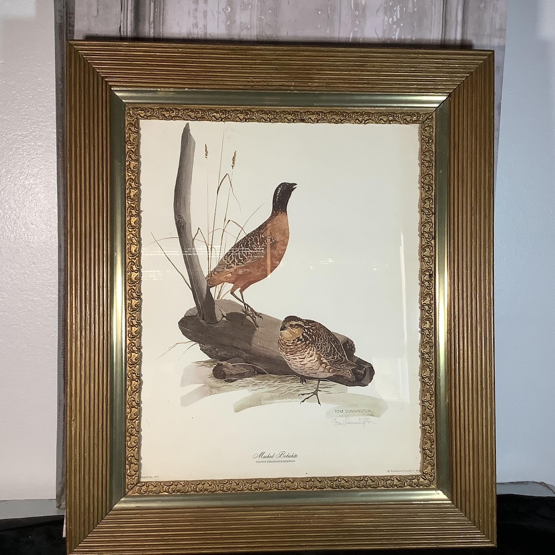 Vintage Framed Quail Print, Wall Hanging, Wall Decor - Etsy