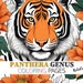Coloring Pages Panthera Genus Digital Book Tiger Lion Cute PDF Download ...