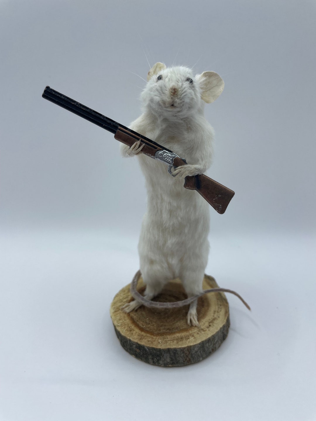 Guns, Guns, Guns Taxidermy Mouse - Etsy