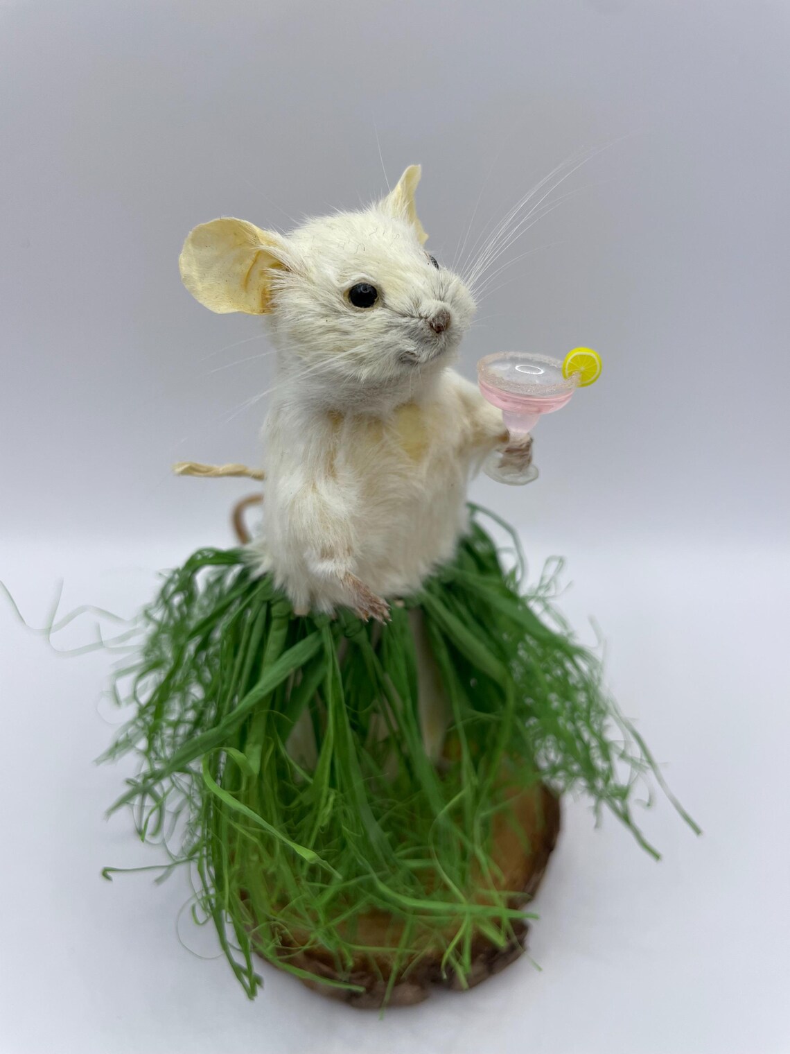 Hula Taxidermy Mouse Etsy