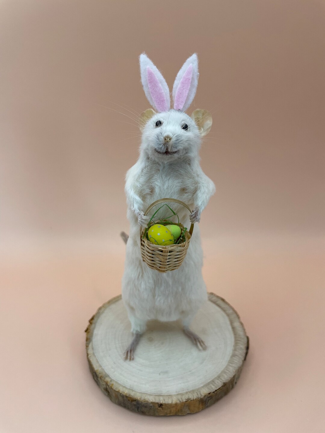 Easter Taxidermy Mouse - Etsy