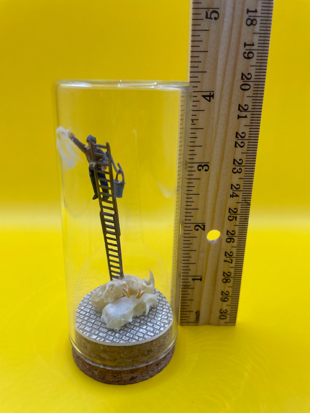 Real Mouse Skull Window Cleaner Scene - Etsy