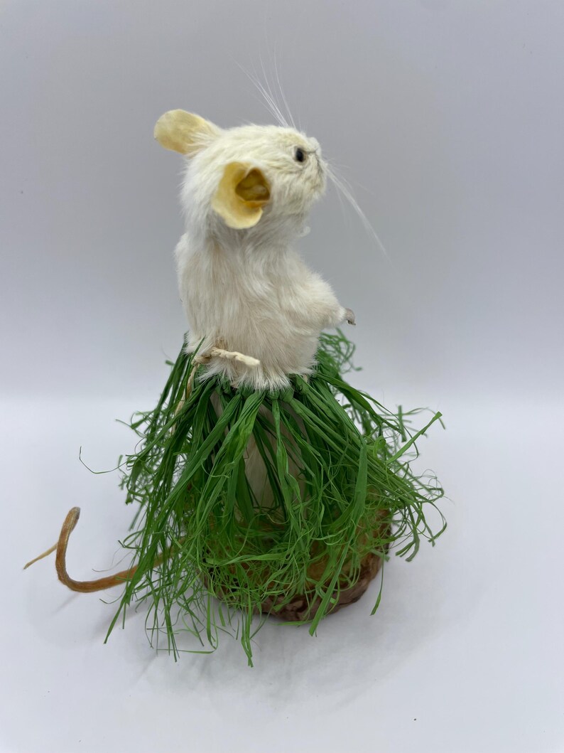 Hula Taxidermy Mouse Etsy