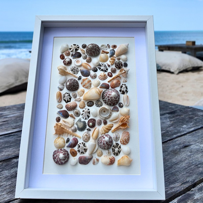 Seashell Art, Home Decor for Walls, in Shadow Box, Beach Wall Art, Gift ...