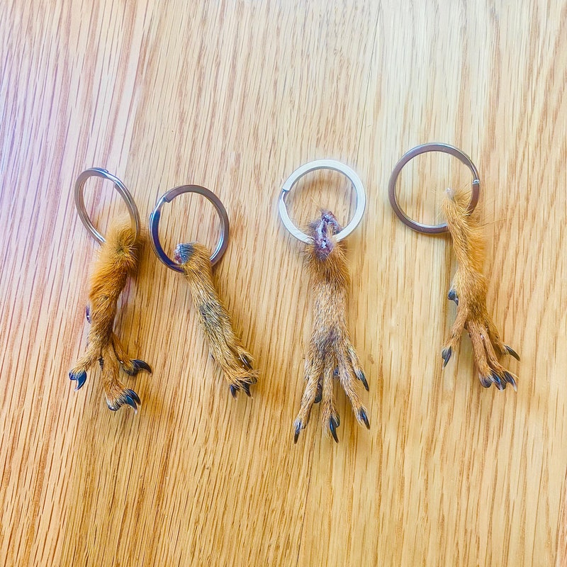 Squirrel Feet - Etsy