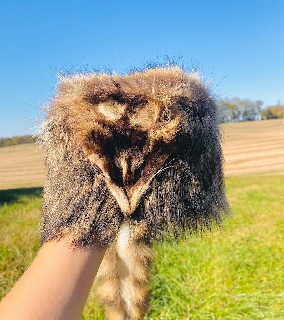 Coon Skin Cap - Etsy
