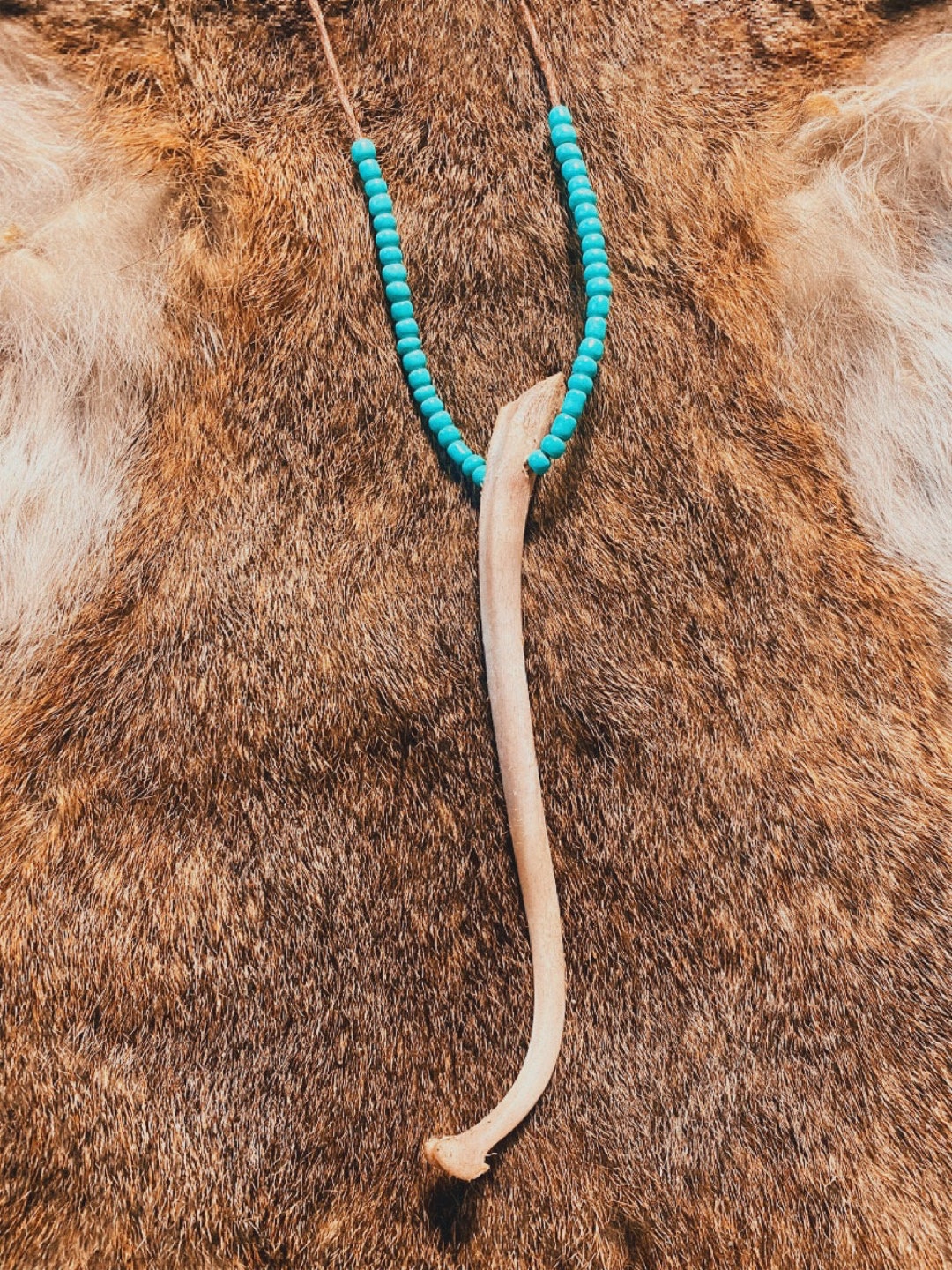 Raccoon Baculum Bone Necklace - Etsy