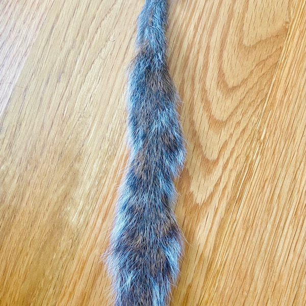 Real Squirrel Tail - Etsy