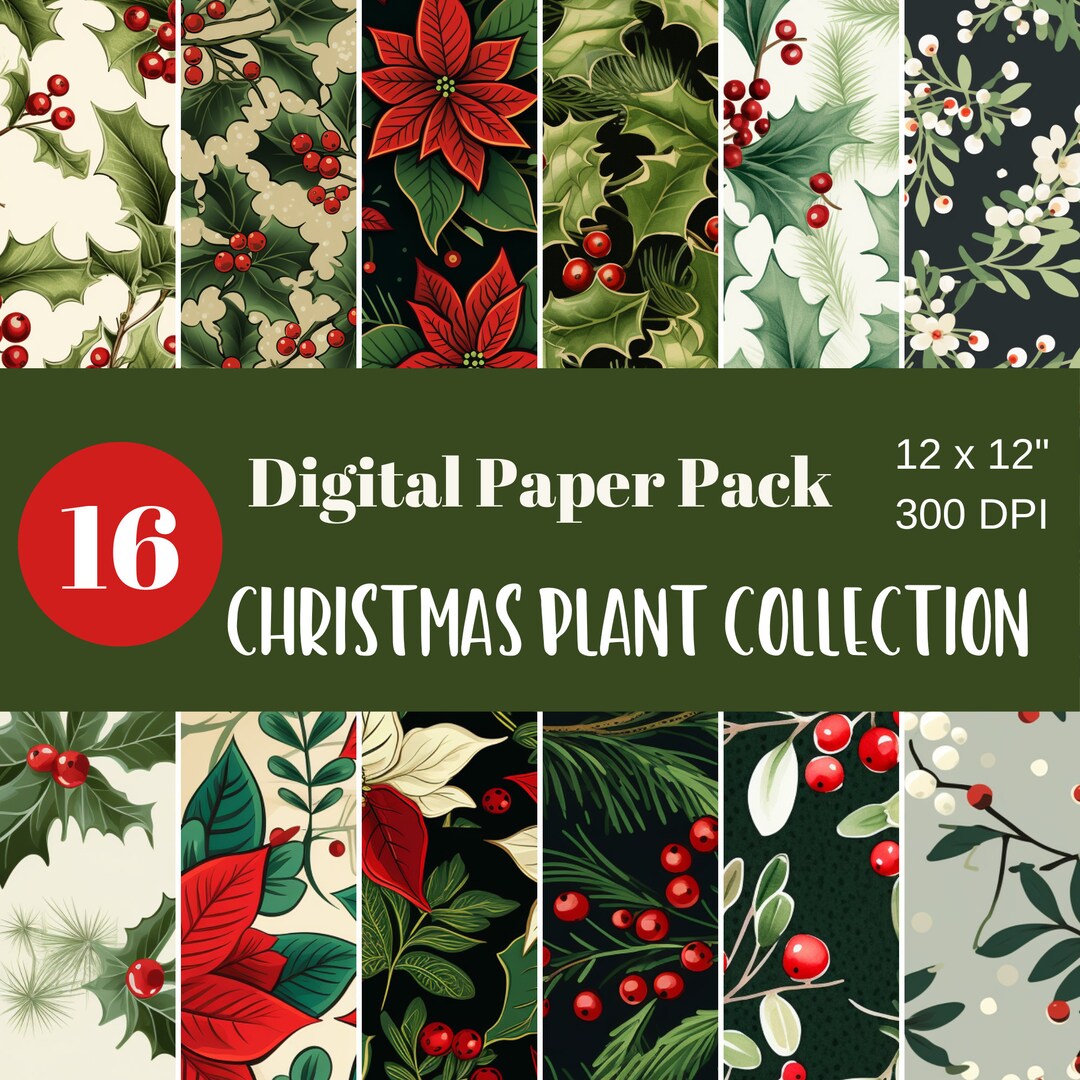 Christmas Plant Collection, Holly, Pine, Mistletoe, Poinsettia, Digital ...