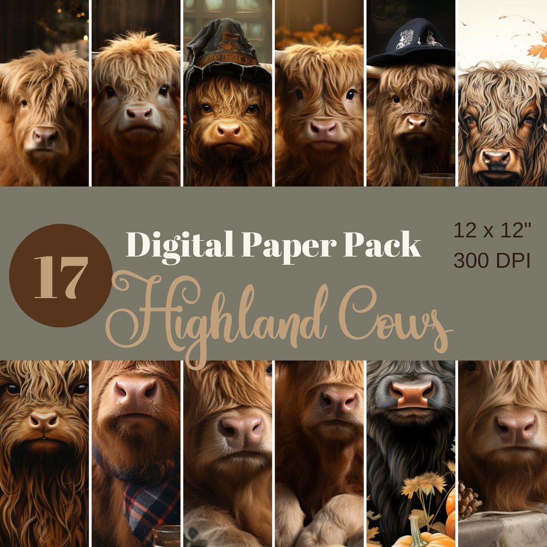 Holiday Highland Cows, Digital Paper, Scrapbook Paper, Sublimation ...