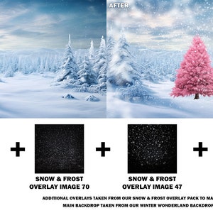 24 Christmas Tree Overlays, PNG Overlays, Fir Trees, Christmas Overlays ...